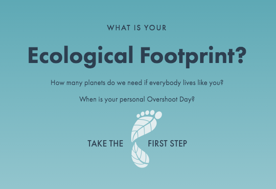 The Ecological Footprint Quiz: Understanding How You Can Make a Differ ...
