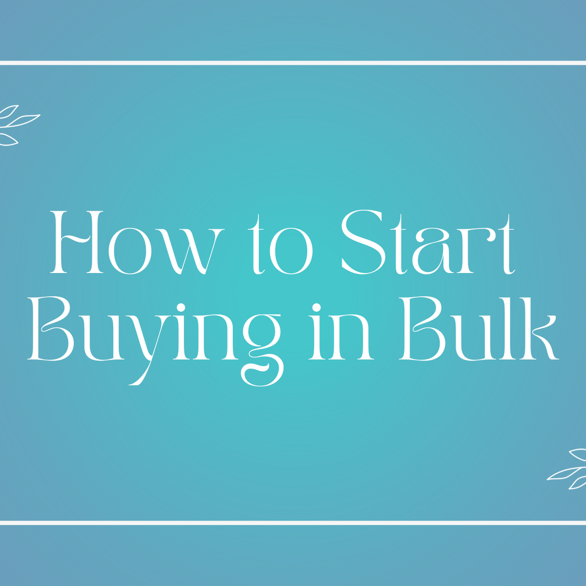How to Start Buying in Bulk – Coast to Coast Sustainables
